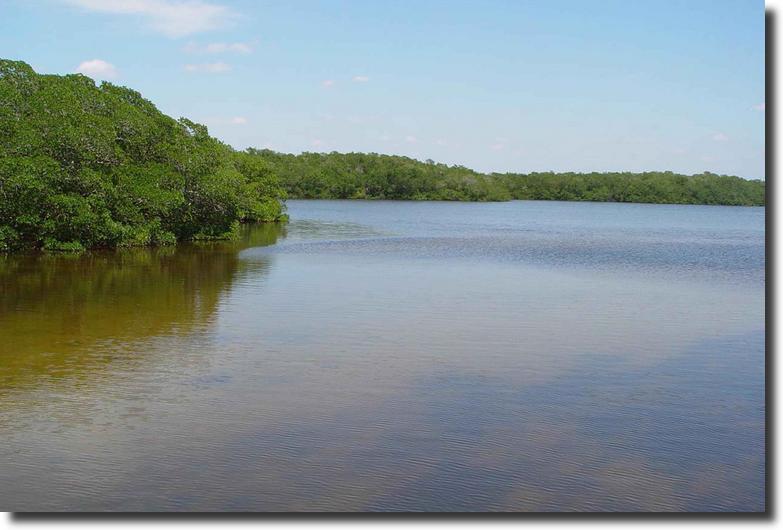 Monster Lake - Adamsonmedia.com